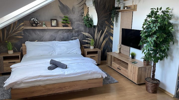 Schody Do Nebe - Podkrovní Apartmán V Centru Brna - Brno