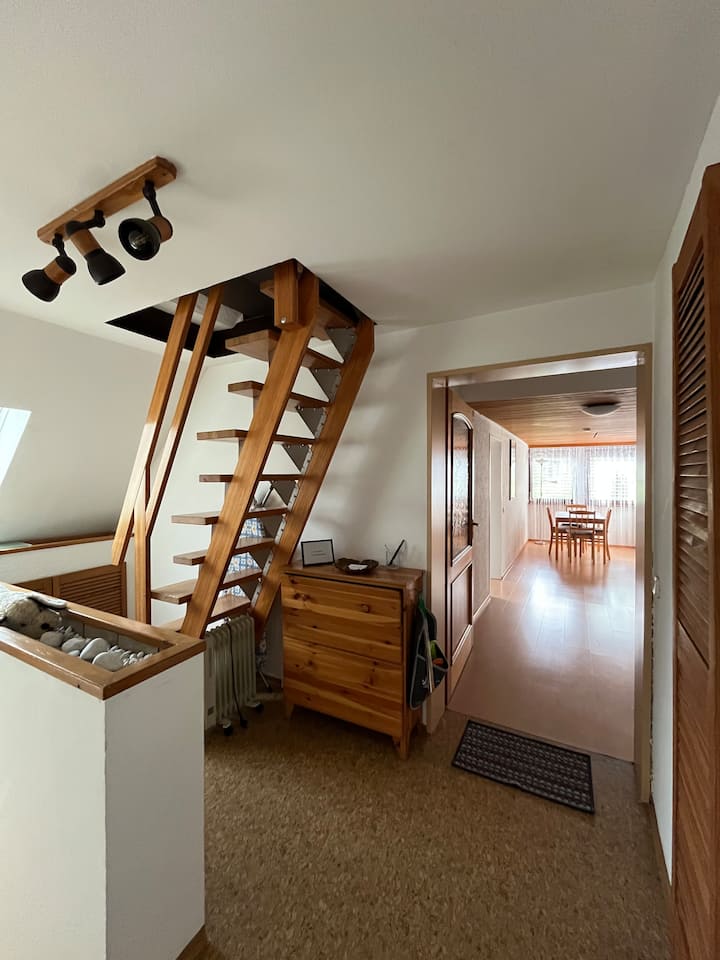 2-geschossige Wohnung Mit Garten - Nuremberg