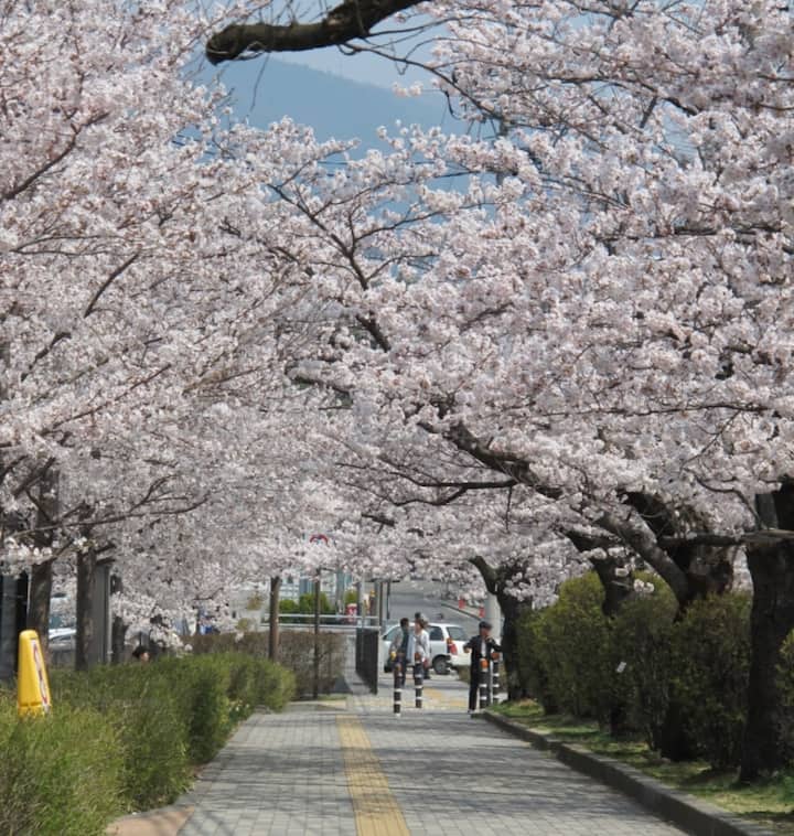 3月特別割引
【長野駅徒歩2分】
最大4名
広々リビング
快適ベット - 나가노시