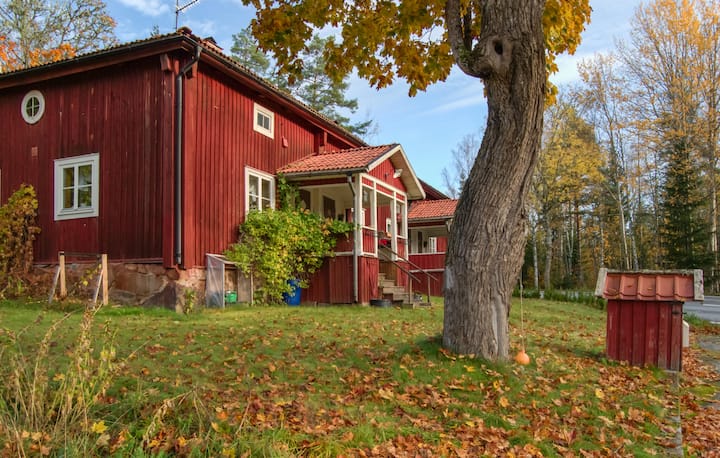 Pet Friendly Home In Kopparberg With Lake View - Kopparberg