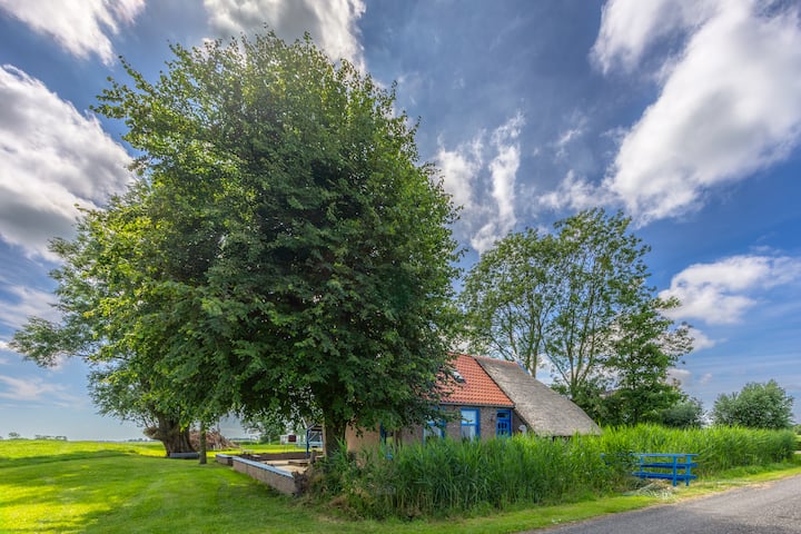 Olle Hansenhaus - Pays-Bas