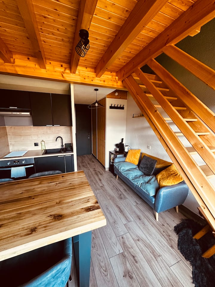 Duplex Montagne Au Pied Des Pistes - Praz de Lys Sommand