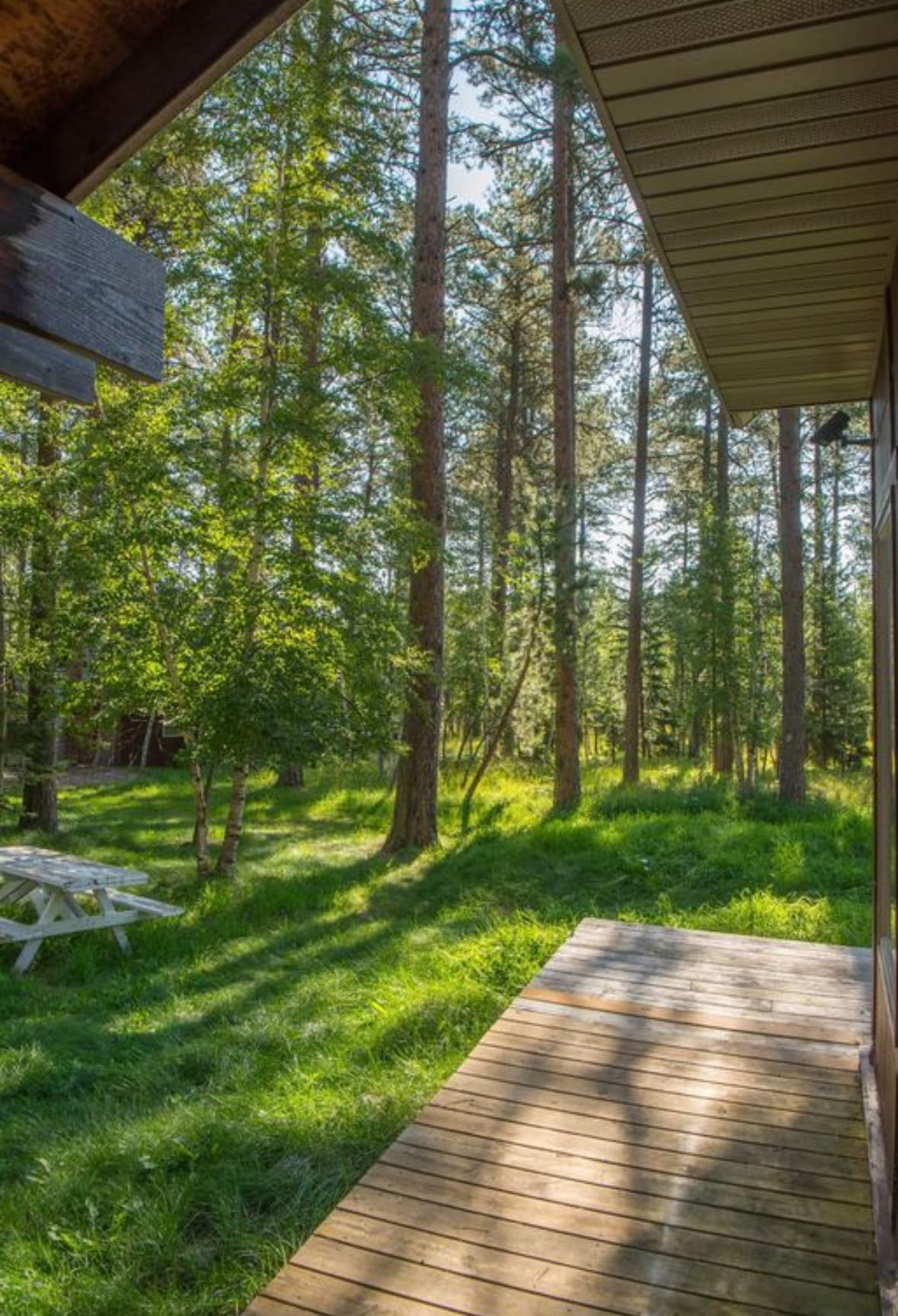 Whistle-Vess lodge - Airbnb