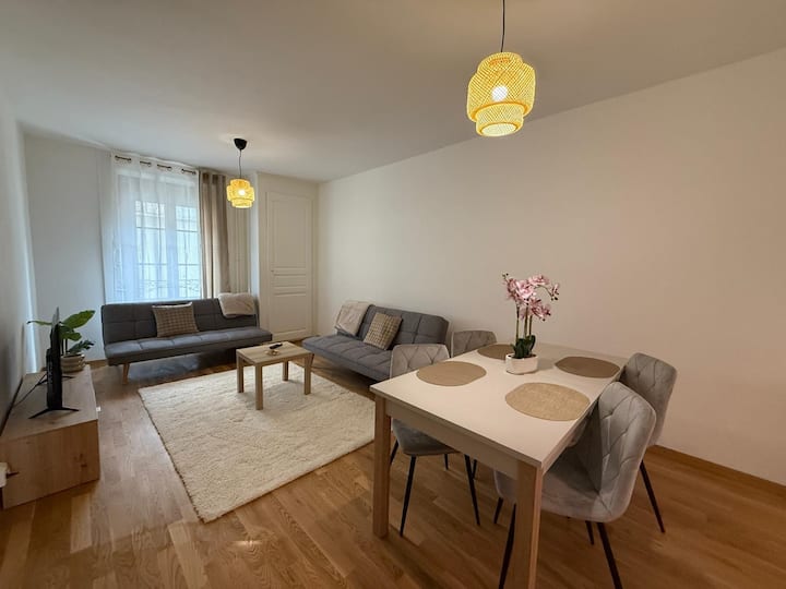 Appartement Proche Du Centre Et Des Nations Unis - Genève