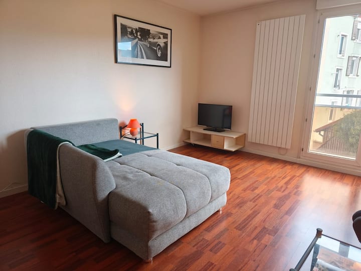 Appartement Intime & Lumineux : Un Séjour Douillet - 뮐루즈