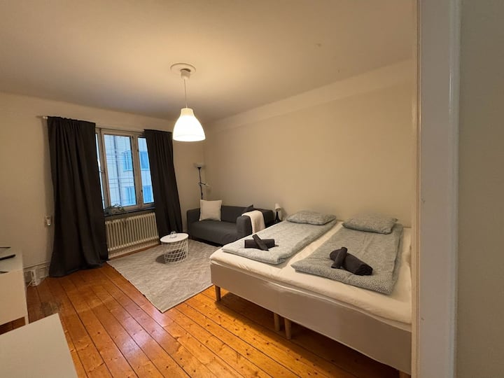 Spacious Studio In Central Stockholm - Stockholm