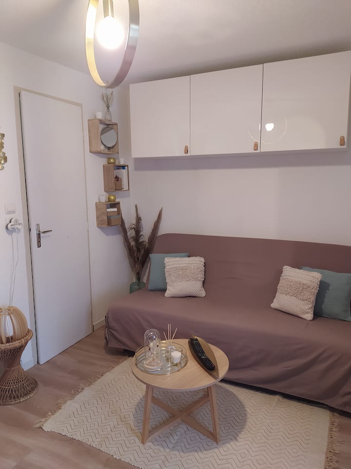 Appartement Cosy à Deux Pas Des Pistes - Abondance