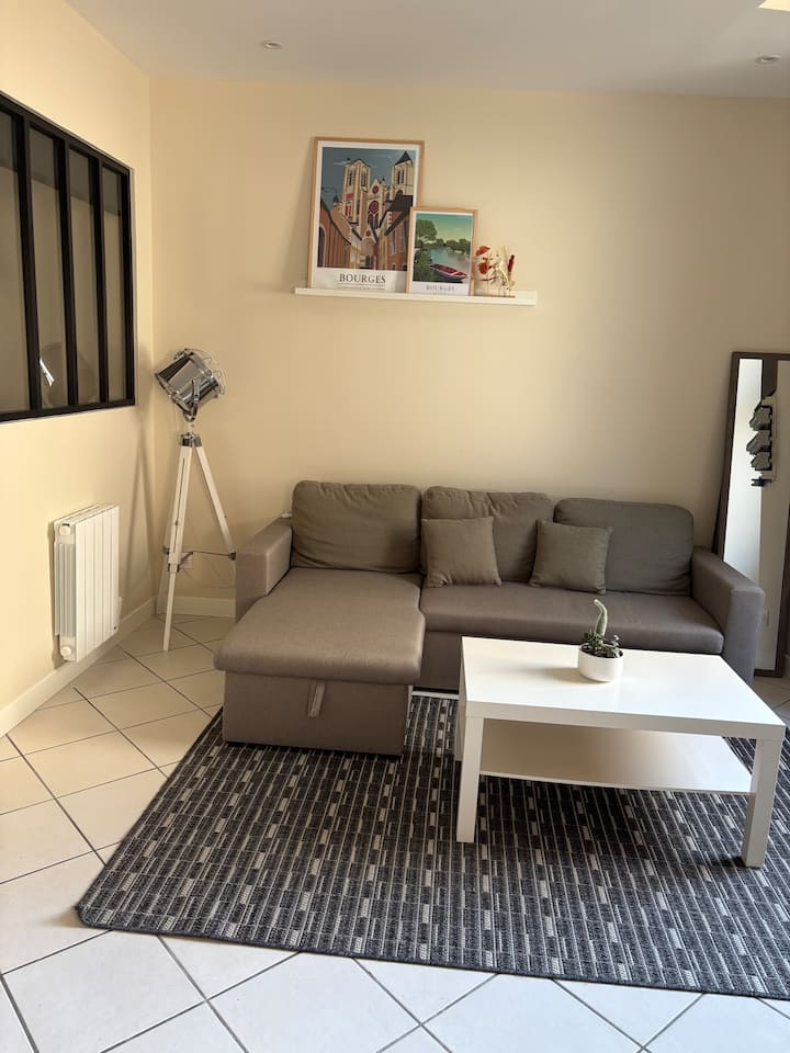 Appartement Sauna Calvin - Bourges