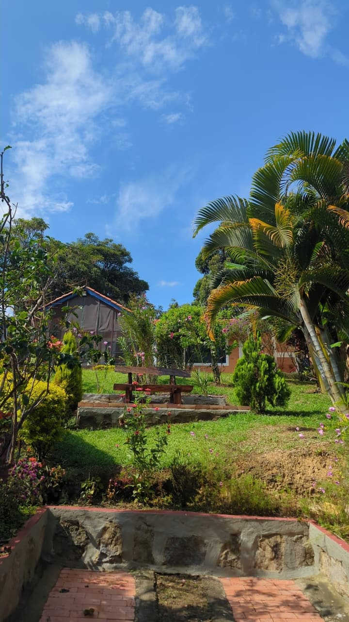 Beautiful Country House Enjoy / Rest, Good Weather - 錫爾瓦尼亞