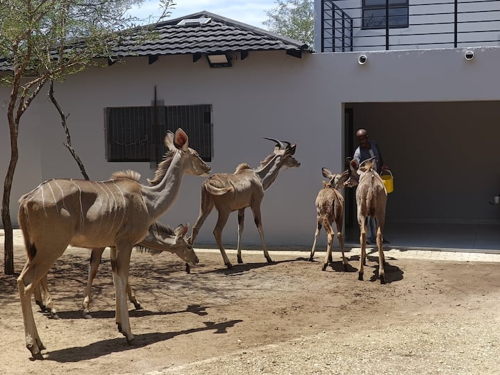 4438 On Olifants - Marloth Park