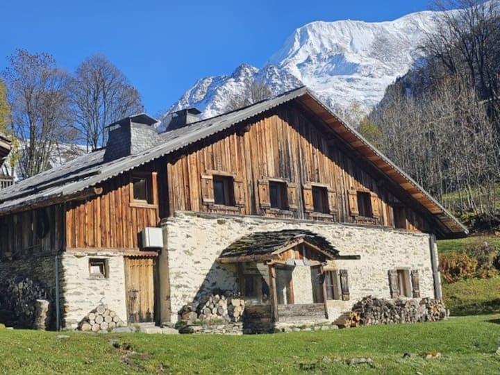 Spectacular Mountain Chalet - Haute-Savoie