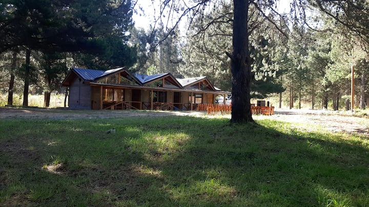 Refugio De Bosque En Patagonia - El Bolsón
