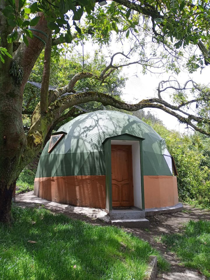 Glamping En Medio De Los Aguacatales - Patate