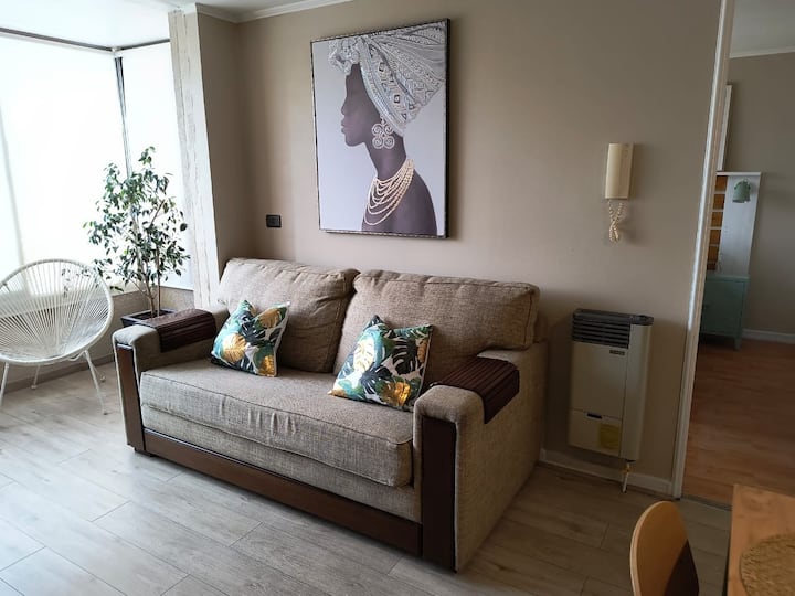 Luminoso Departamento En Santiago Centro. - Santiago