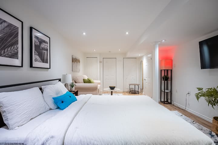 Modern & Cozy Studio Wt Private Washroom & Kitchen - Brampton