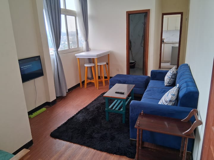 One Bedroom Apartment For Rent In Addis Ababa - Ethiopia