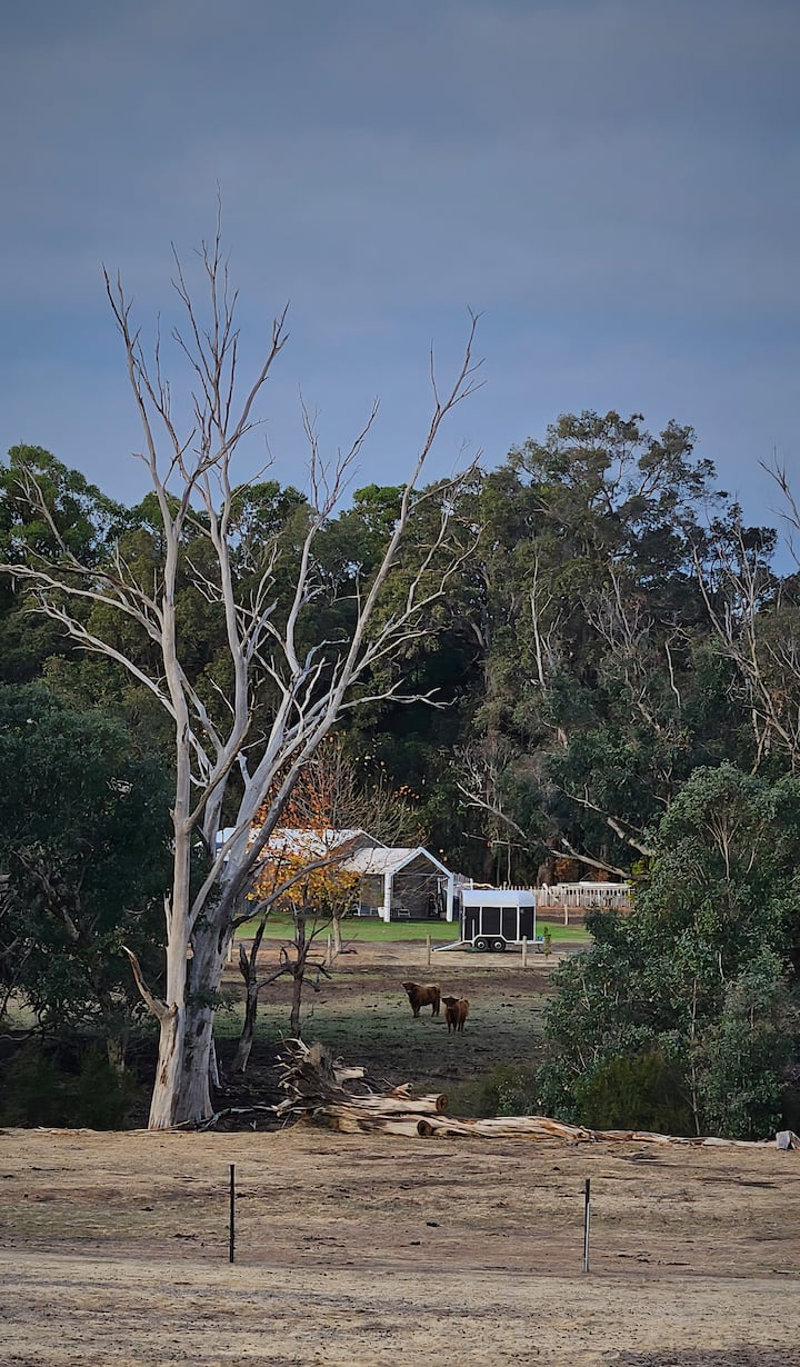 The Farm Shed
@ Lakebrook Country Escape - Nannup