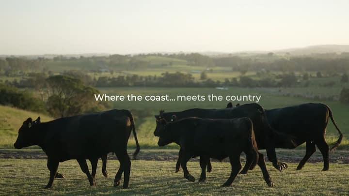 Hillview Farm - Where The Country Meets The Sea! - Ulladulla