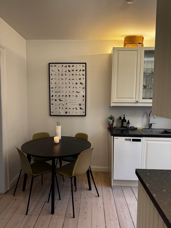 Charming Apartment In City Center - Copenhagen