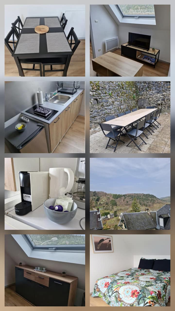 2 Pièces Proche Des Pistes Et Du Centre Ville - Puy de Sancy