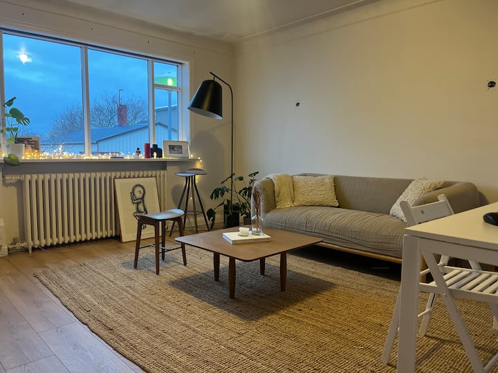 Perfectly Located Apartment In Downtown Reykjavík - Reikiavik