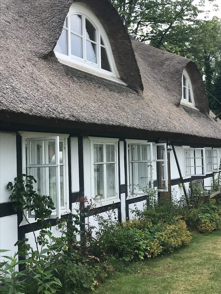 "Heimathafen" Für 1-5 In Der Alten Fischerei - Barth