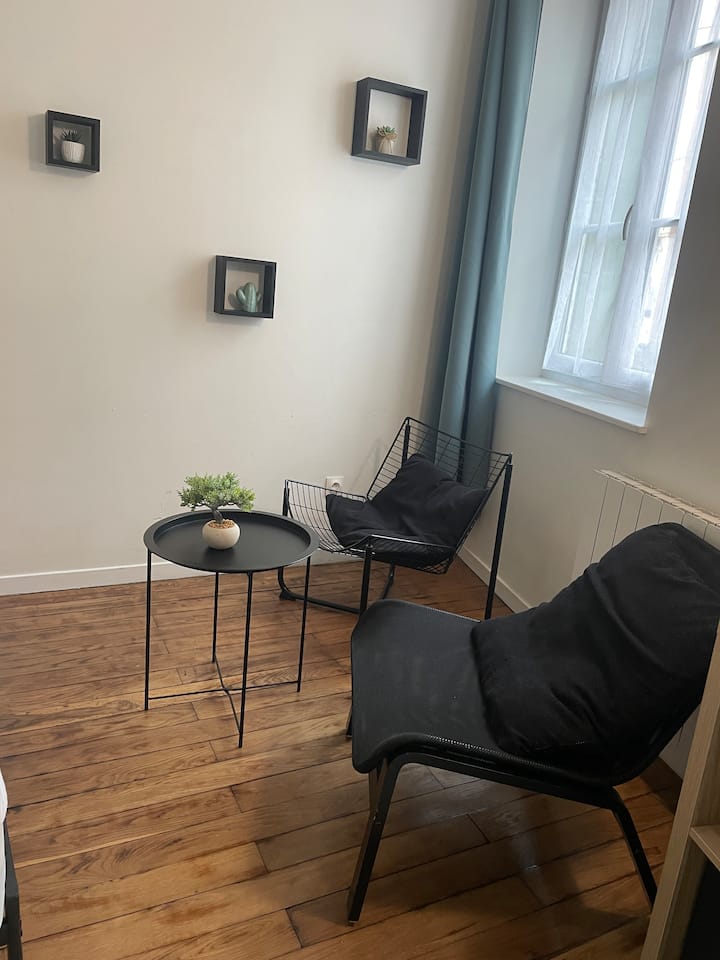 Studio Cosy-proche Gare - Mâcon