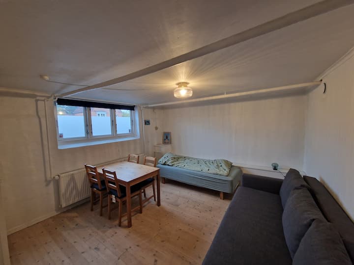 Privat Værelse I Odense C M. Eget Bad Og Te-køkken - Odense