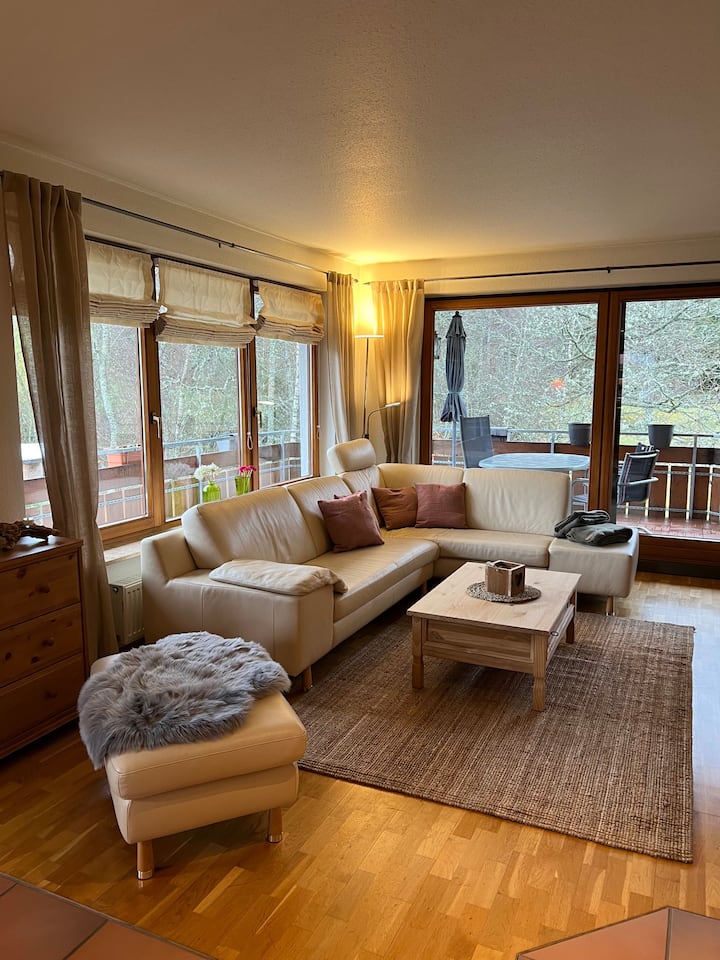 Finkennest Schluchsee - Schluchsee