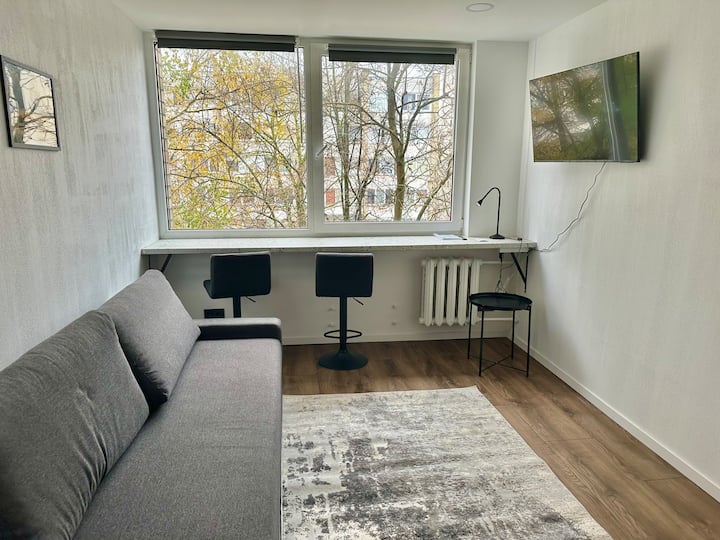 Великолепная студия в самом центре Вильнюса. - Vilna