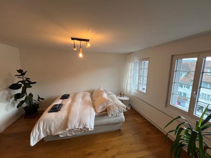 Zentrale Boutique-wohnung In Sempachs Altstadt - Büron