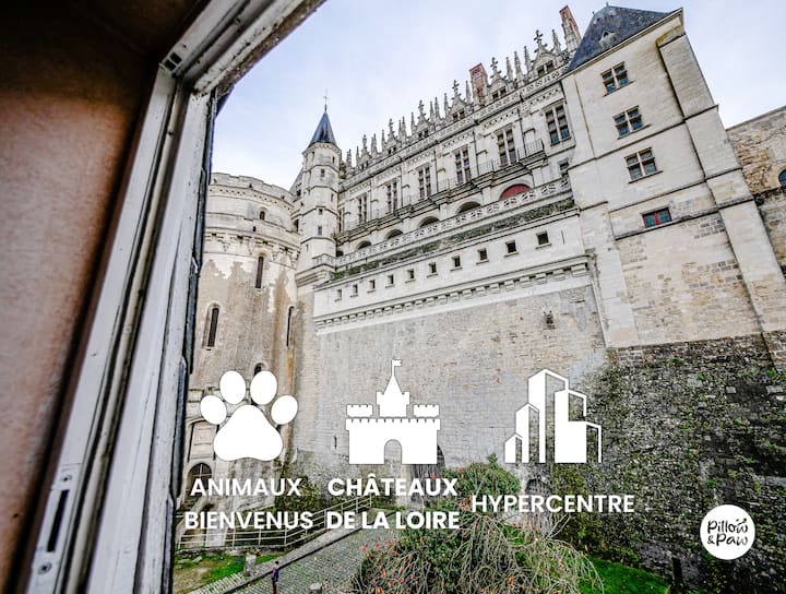 Le Setter : Cosy, Au Pied Du Château, Pet-friendly - Amboise