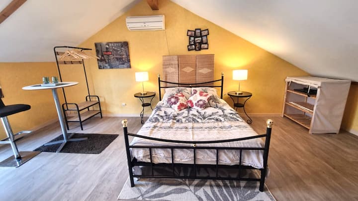 Le Yucca D'erstein ! - Erstein