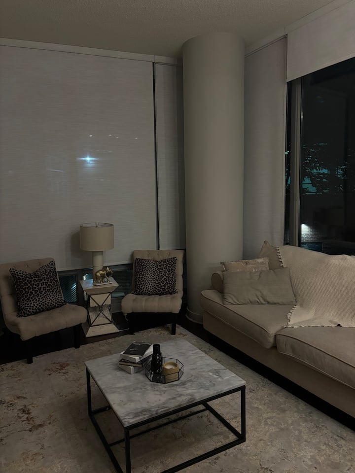 Downtown Toronto Condo - Toronto
