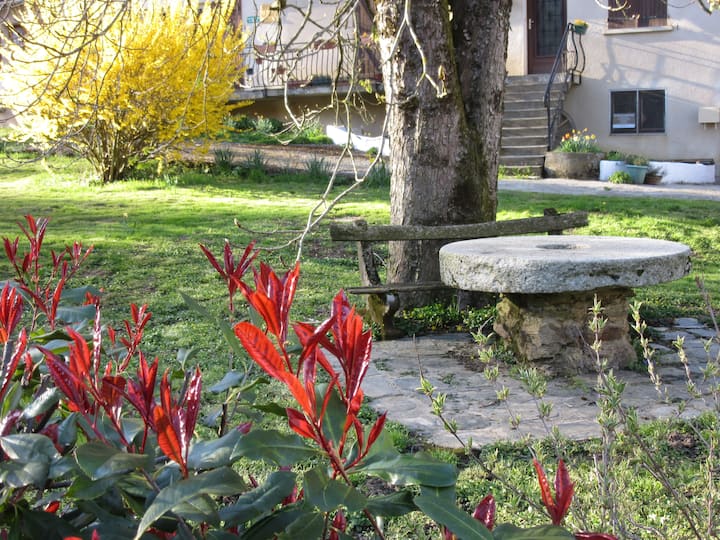 Le Moulin Du Barthas – Gîtes En Pleine Nature - Tarn