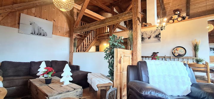 Le Lodge Des Ours ! - Hauteluce - Les Saisies
