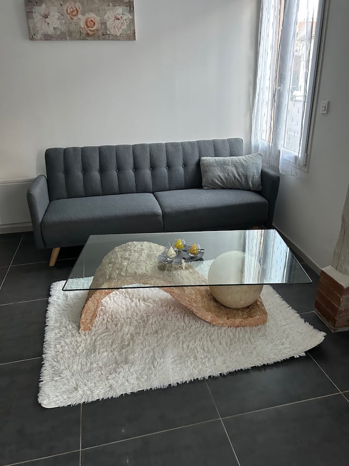 Appartement Cosy - Montier-en-Der