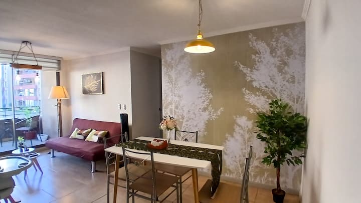 Cómodo Depto2º Piso Cerca De Ruta 5+wifi Y Parking - Chillan