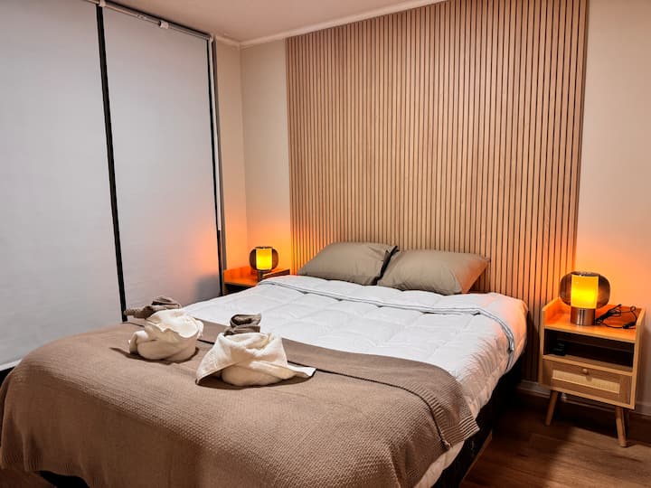 Vista A La Cordillera A Pasos De Barrio Italia - Santiago, Chile