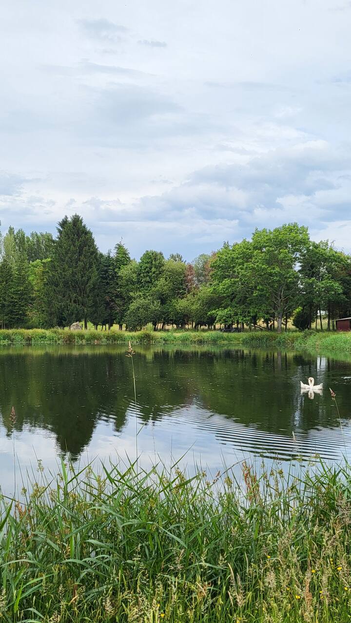 Demeure De Charme éTang & 2 Ha, Proche Vannes - Brocéliande