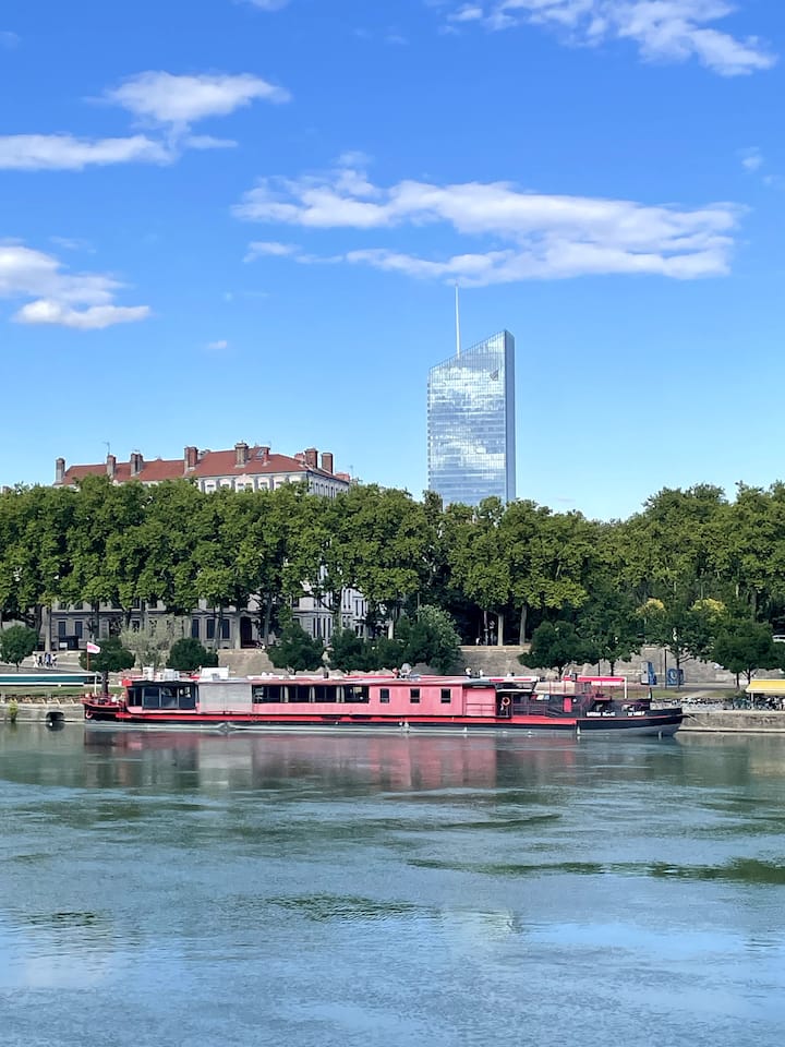 Très Bel Apt De 200 M2 Sur Les Quais Du Rhône - Lyon