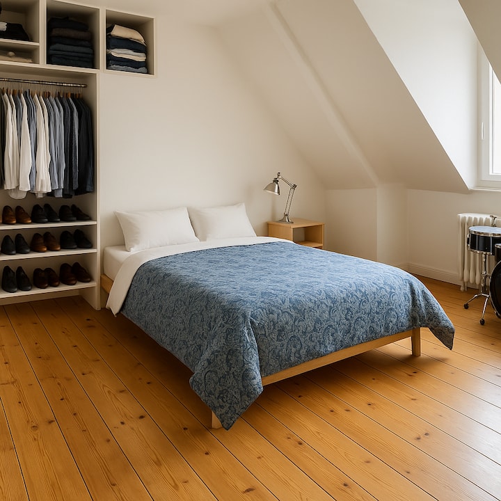 Grande Chambre Dans Un Immeuble Art Nouveau - Strasbourg