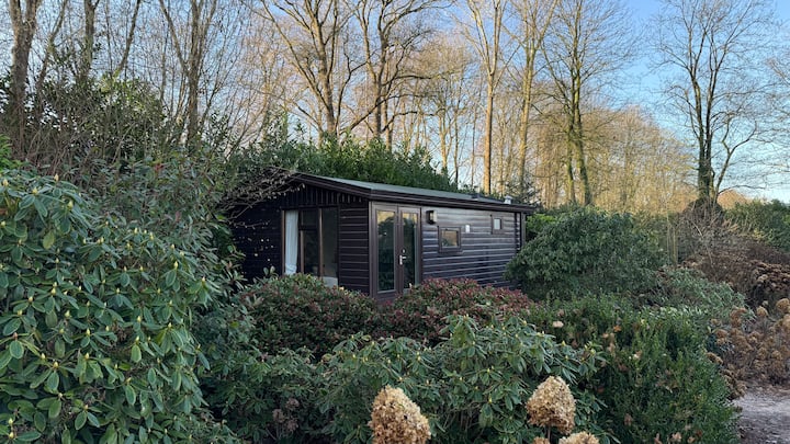 Vrijstaand Chalet Met Hottub En Verwarmd Zwembad - Raalte