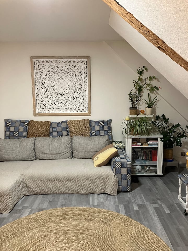 Appartement Cosy Sous Les Combles En Vieille Ville - Ammerschwihr