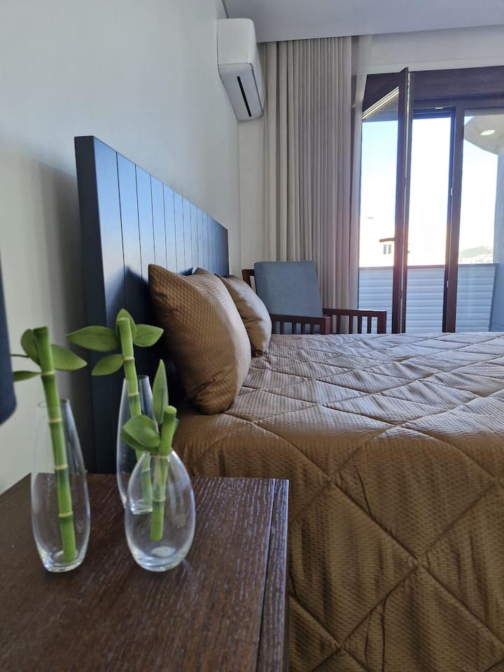 Stay & Blend – Camaleão | Valongo - Valongo