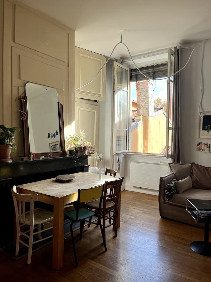 Appartement Lumineux En Plein Centre-ville - Lyon