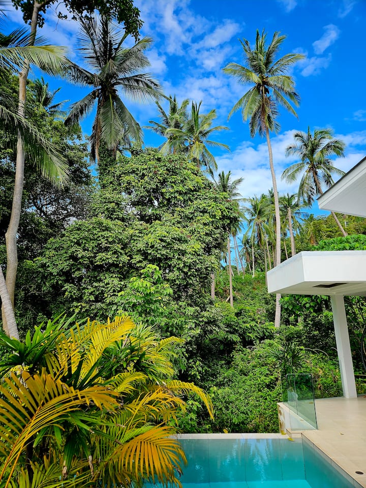 Villa Blue Vanilla - 2br Modern Villa/private Pool - Ko Samui