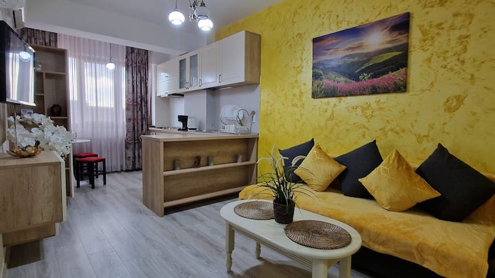 Comfort And Style In The City Center - Iași