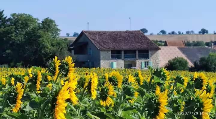 Gers - Appt Le Mouyet 2 - Gimont