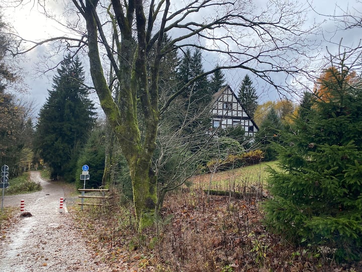 Haus Am Wald - Winterberg